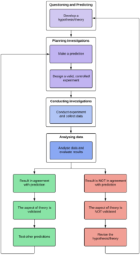 How I Got a Band 6 in My Depth Study | Science Depth Study Tips