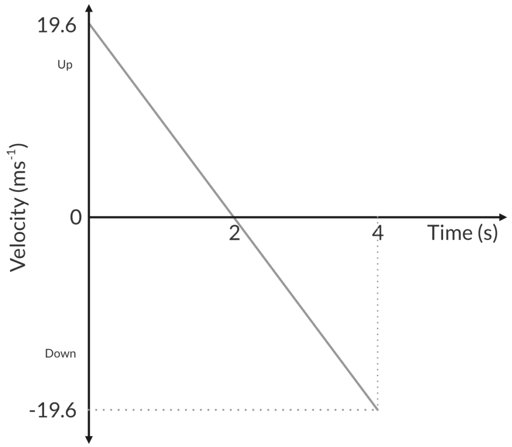 Kinematics Practice Test for Year 11 Physics | Learnable