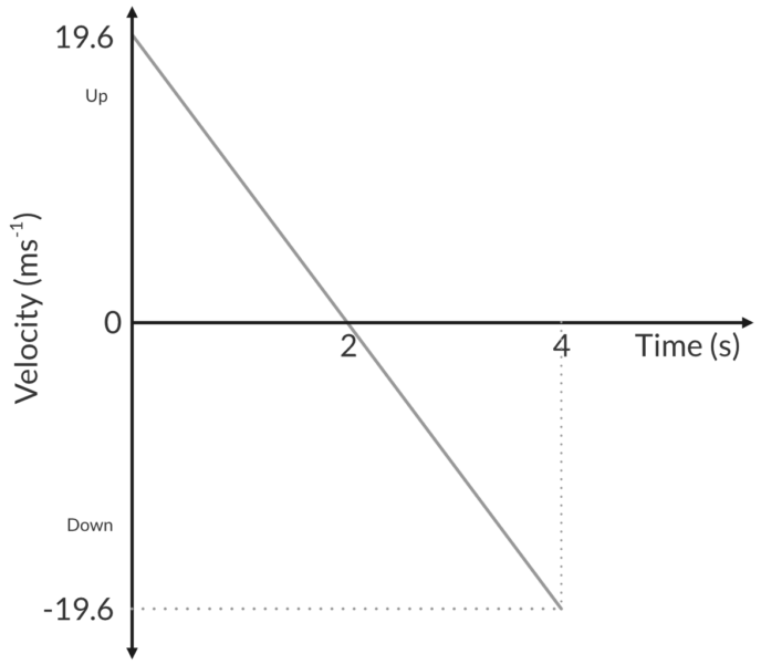 Kinematics Practice Test for Year 11 Physics | Learnable