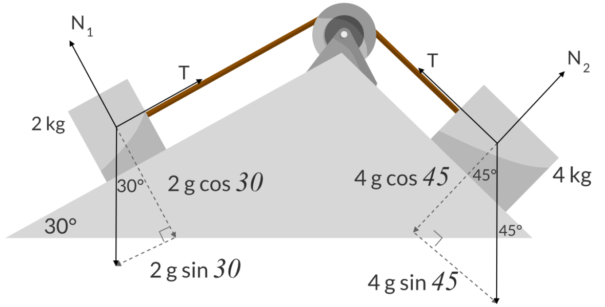 Module 2 'Dynamics' Practice Test | Year 11 Physics | Learnable
