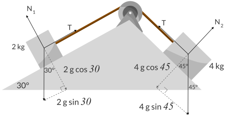 Module 2 'Dynamics' Practice Test | Year 11 Physics | Learnable