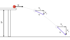 Projectile Motion Experiment | Year 12 Physics Practical Investigation