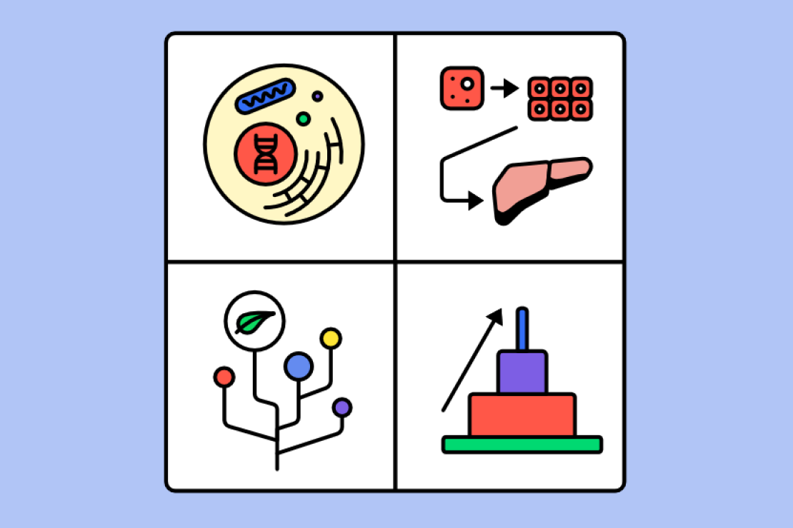 Year 11 Biology | All-in-one, Interactive Resources by Learnable